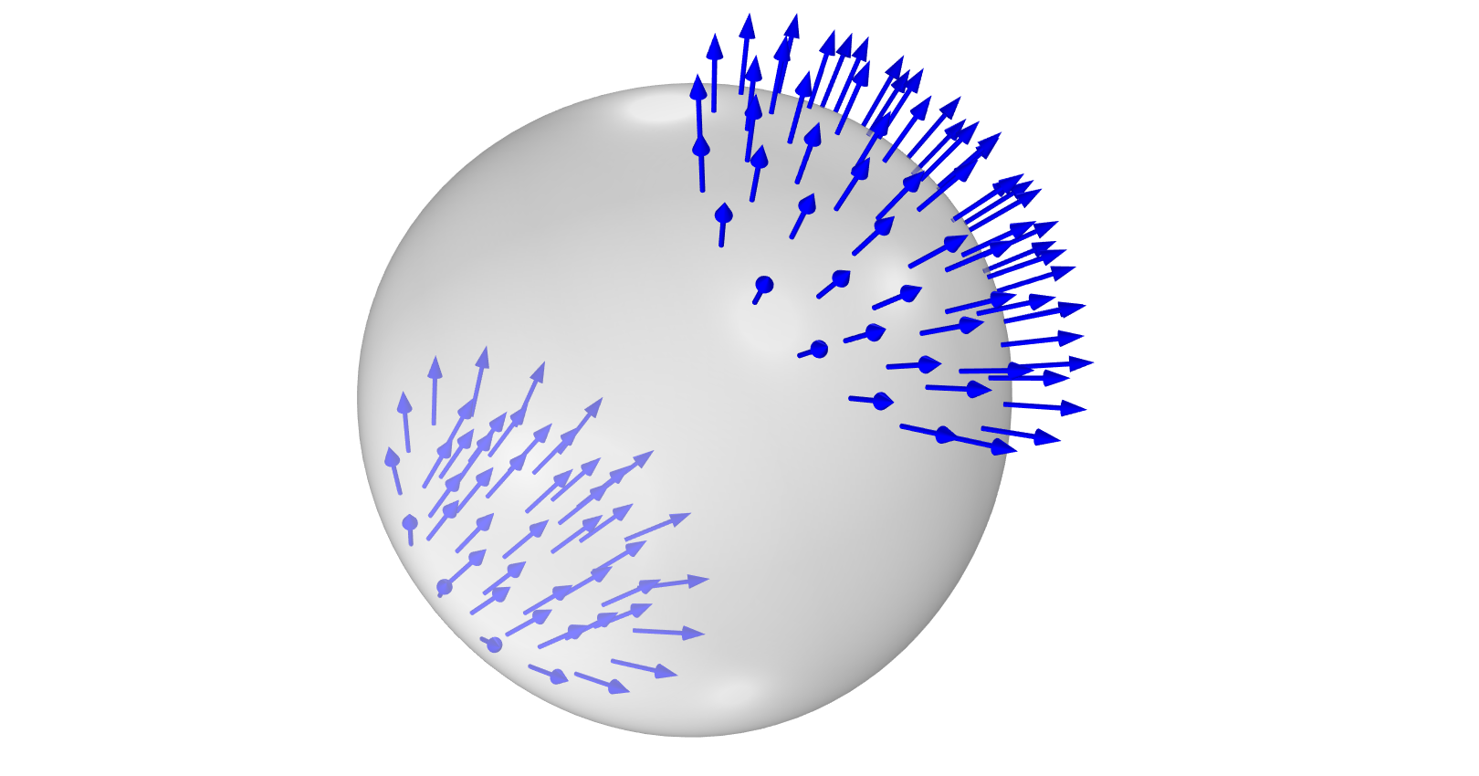 Modeling with PDEs: Convection–Diffusion Equations