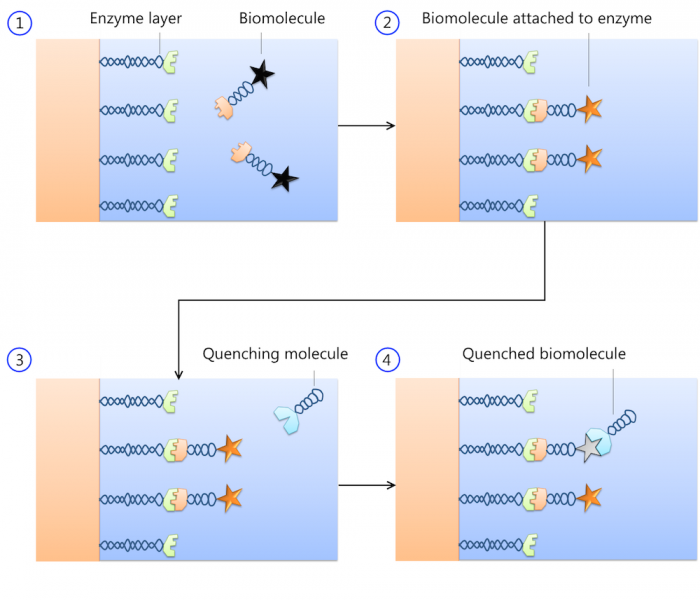 Sensing the Bio in Biosensor Design with a Simulation App | COMSOL Blog