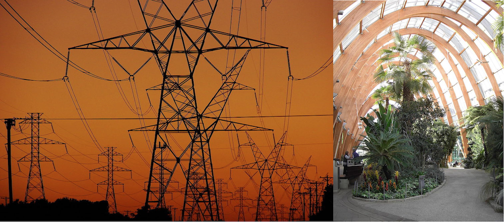 Understand Phenomena in the Viscous Catenary Problem via Simulation ...